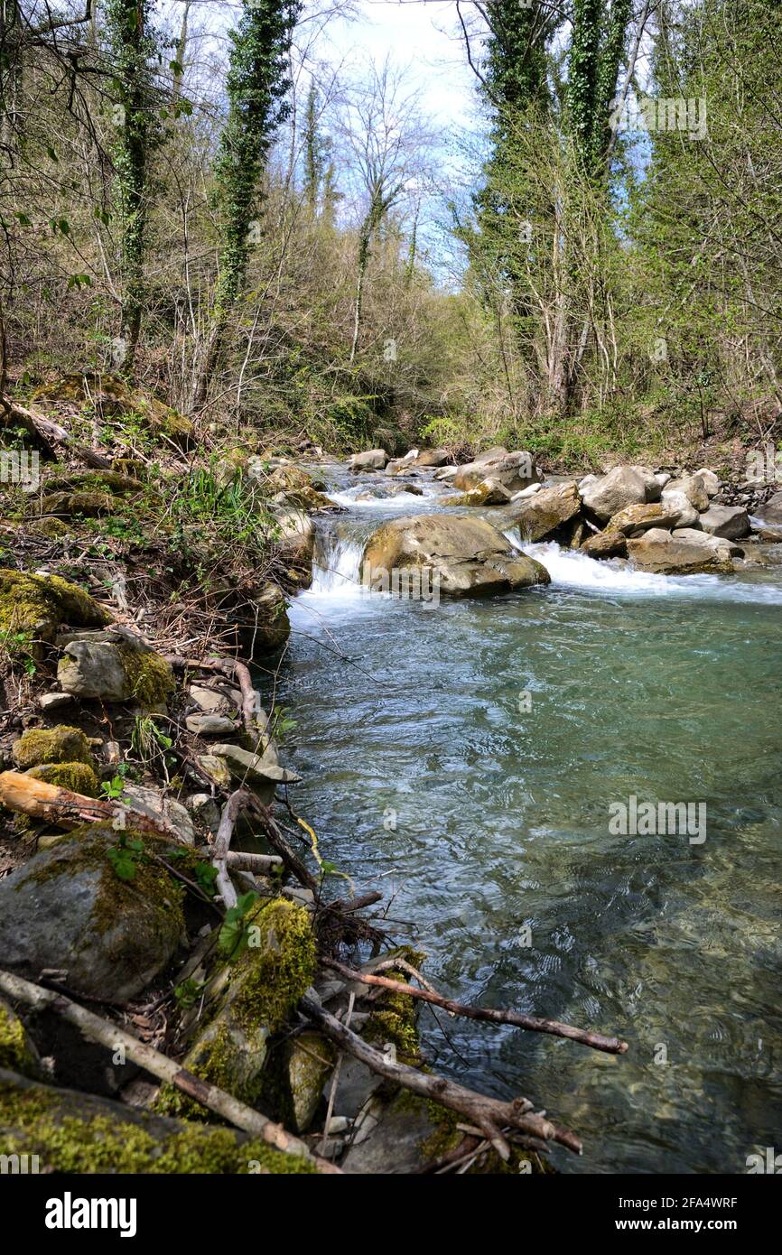 Stream of paradise hi-res stock photography and images - Alamy