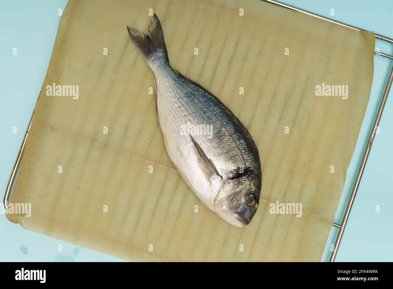 Flat lay fresh raw dorado fish cooking home on metal grid on blue ...