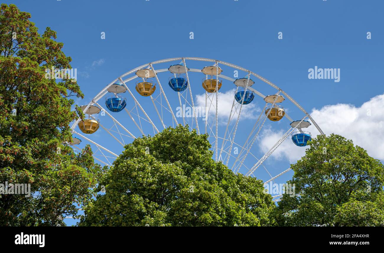 Upper part of a ferris wheel behind large deciduous trees in daytime ...