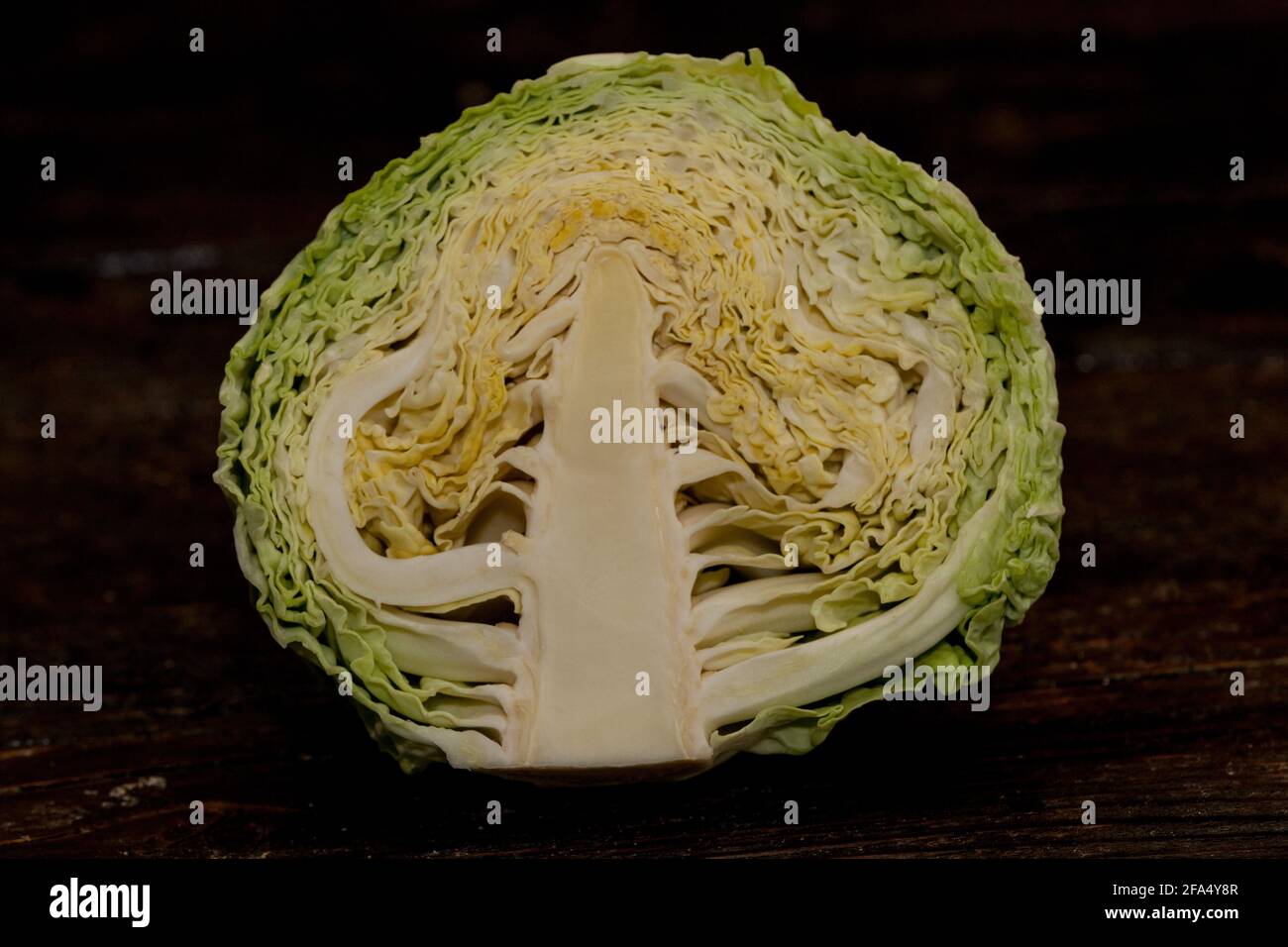 Cabbage cut in half Stock Photo - Alamy