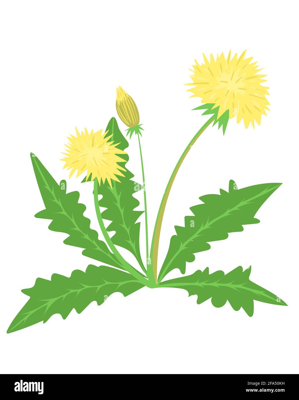 Weed leaf vector vectors hi-res stock photography and images - Alamy