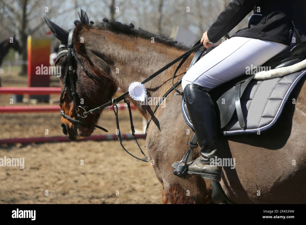 Horse riding banner for website or magazine illustration. Photo of ...