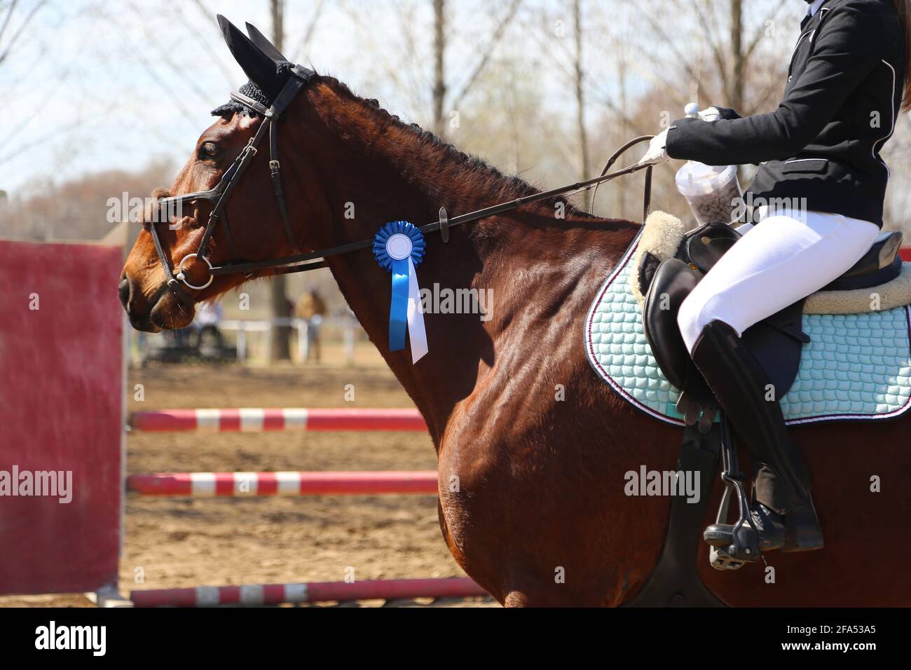 Horse riding banner for website or magazine illustration. Photo of ...