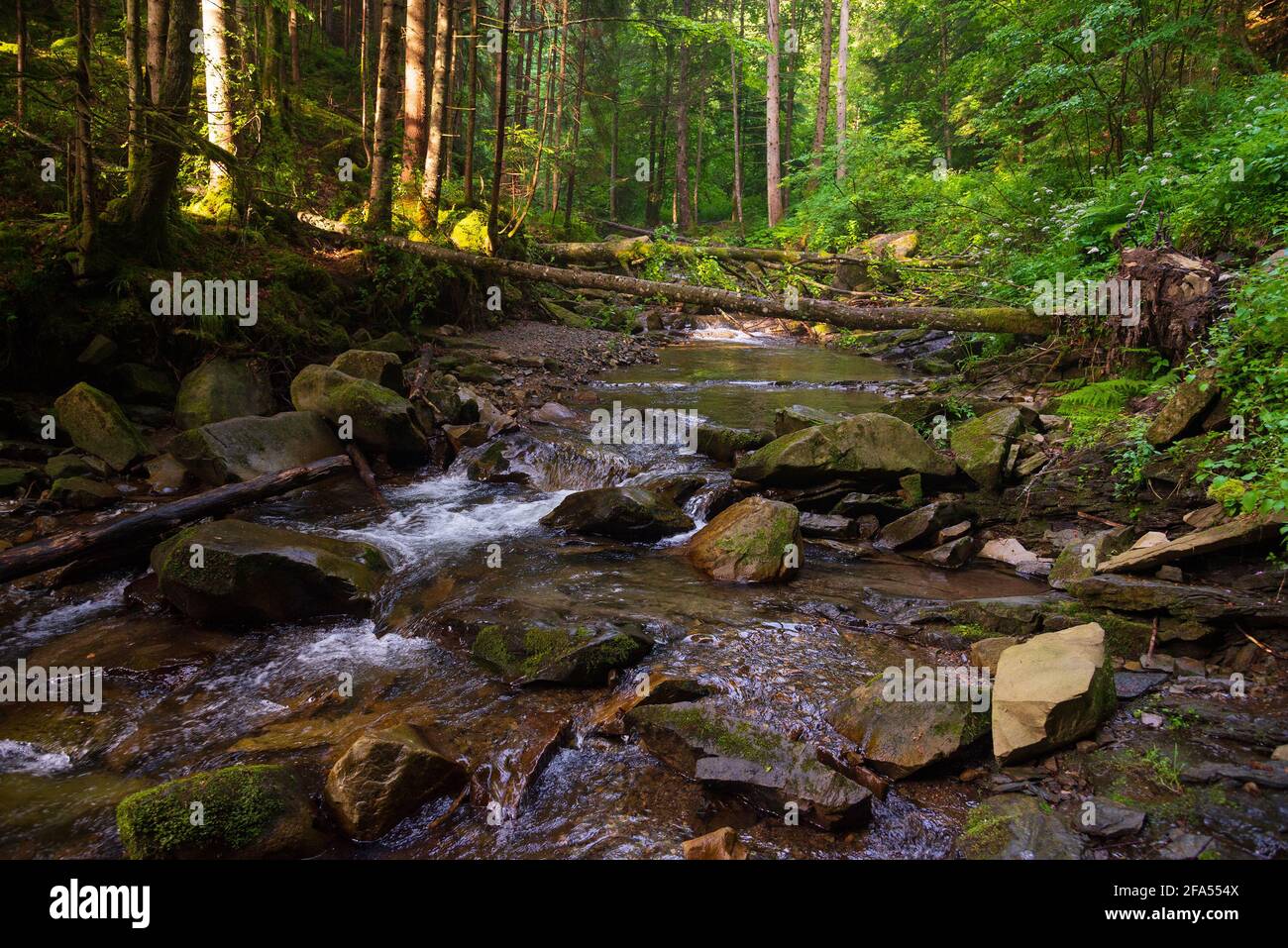 Landscape with small mountain river in Western Ukraine, Europe Stock ...