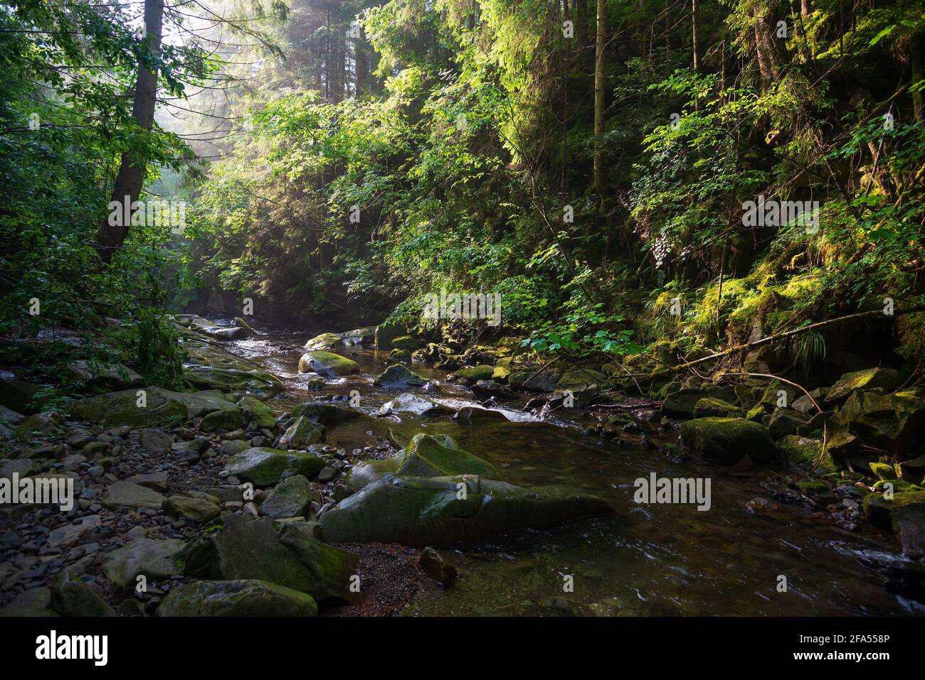 Landscape with small mountain river in Western Ukraine, Europe Stock ...