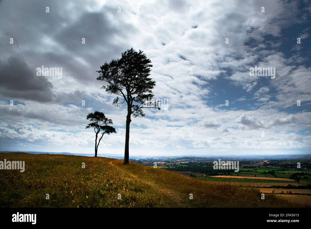 Hill two trees hi-res stock photography and images - Alamy