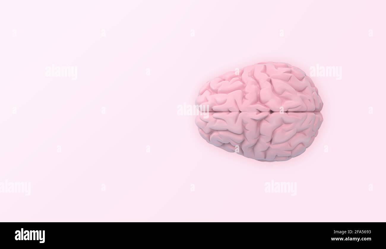 Brain in top view on pink background. Minimal backdrop. 3d rendering ...