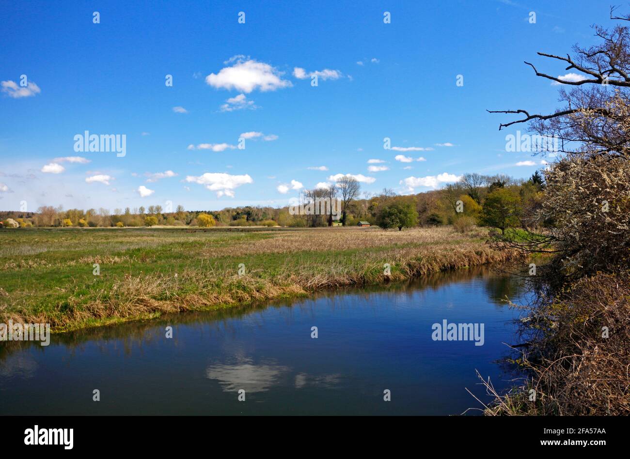 River wensum ringland hi-res stock photography and images - Alamy