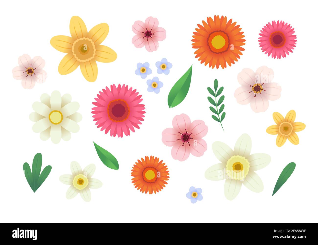 Flowers collection. Vector illustration in flat style, template for ...
