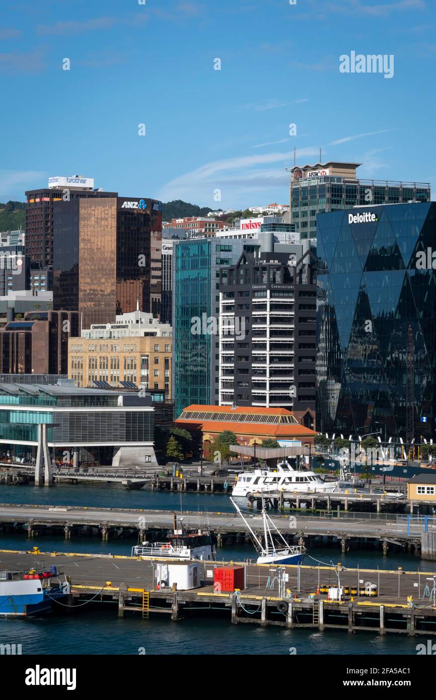 Office and waterfront buildings, Wellington, North Island, New Zealand ...