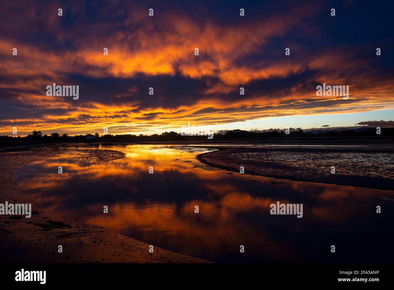 Ashley new zealand hi-res stock photography and images - Alamy