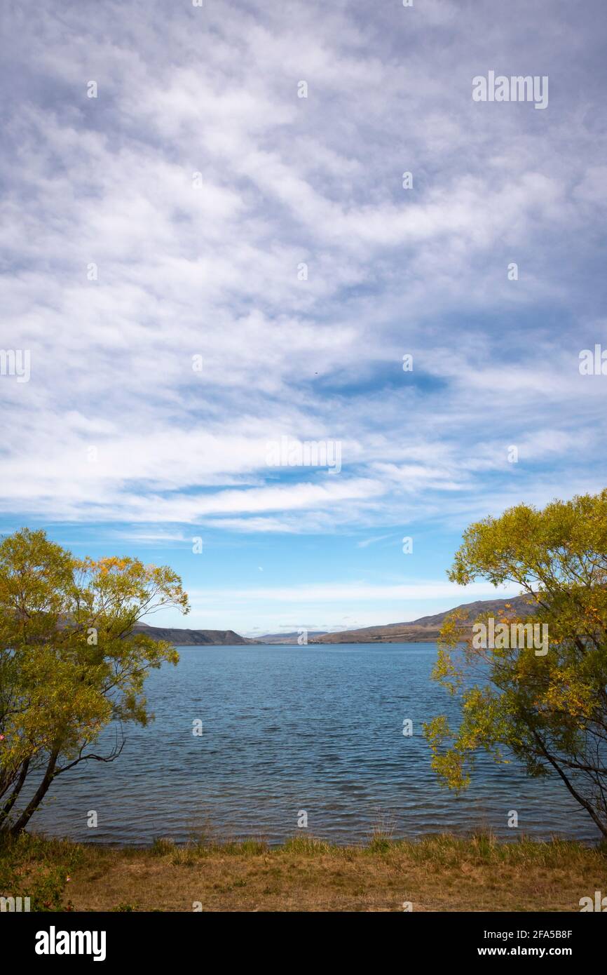 Trees beside Lake Aviemore, from Alps to Ocean cycle trail near ...
