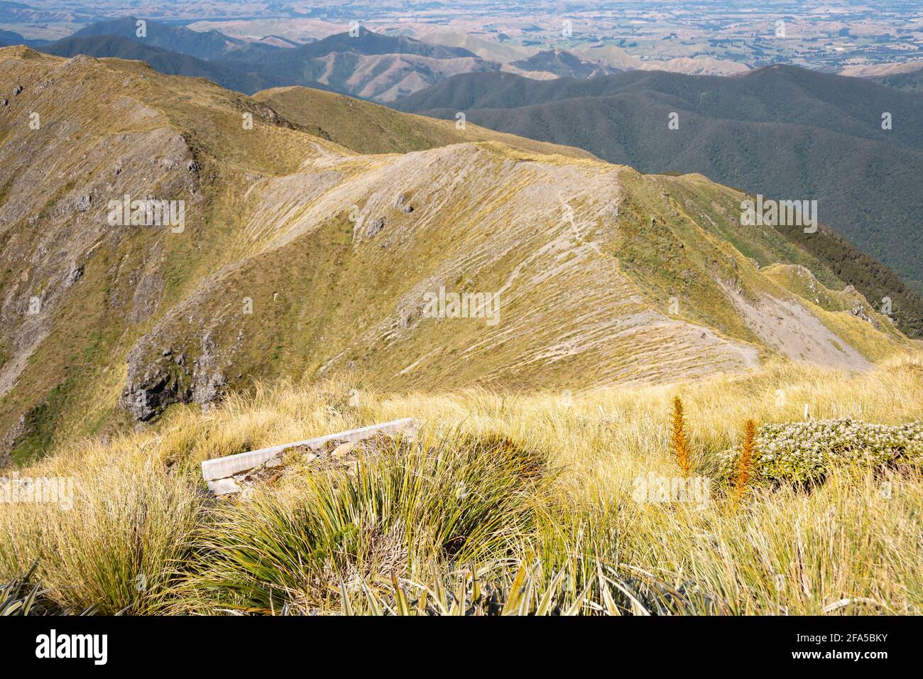 Track to Jumbo hut from Mount Holdsworth, Tararua Forest Park, North ...