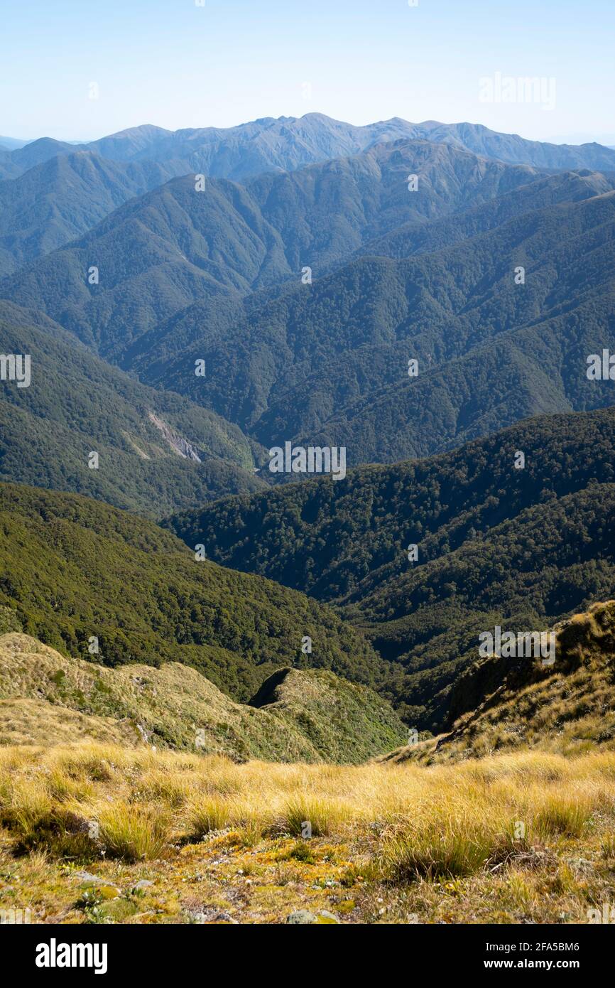 Tararua Te Ahu A Turanga: New Manawatū Tararua Highway Updates