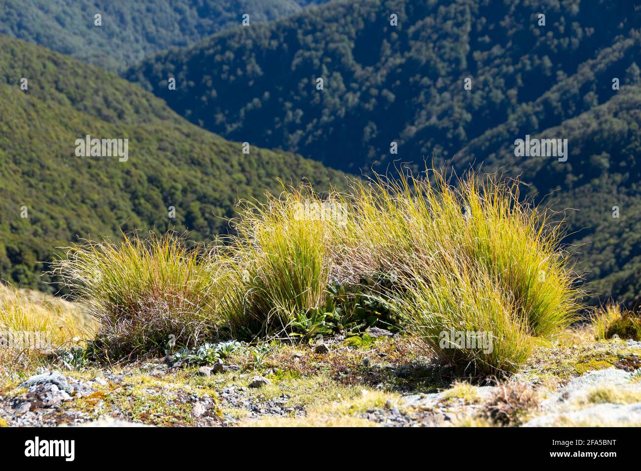 Tararua peak hi-res stock photography and images - Alamy