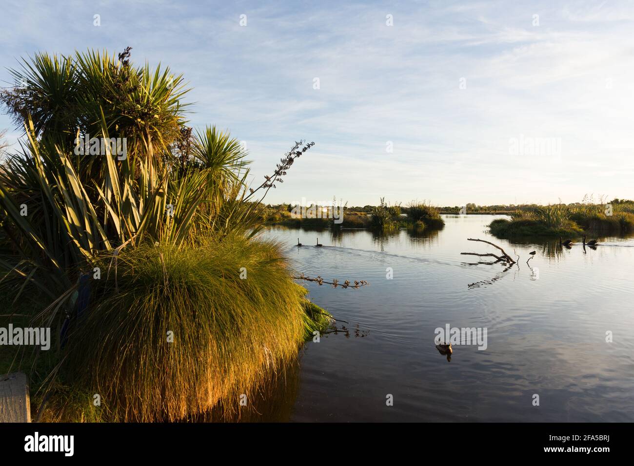 New zealand nature reserve hi-res stock photography and images - Alamy