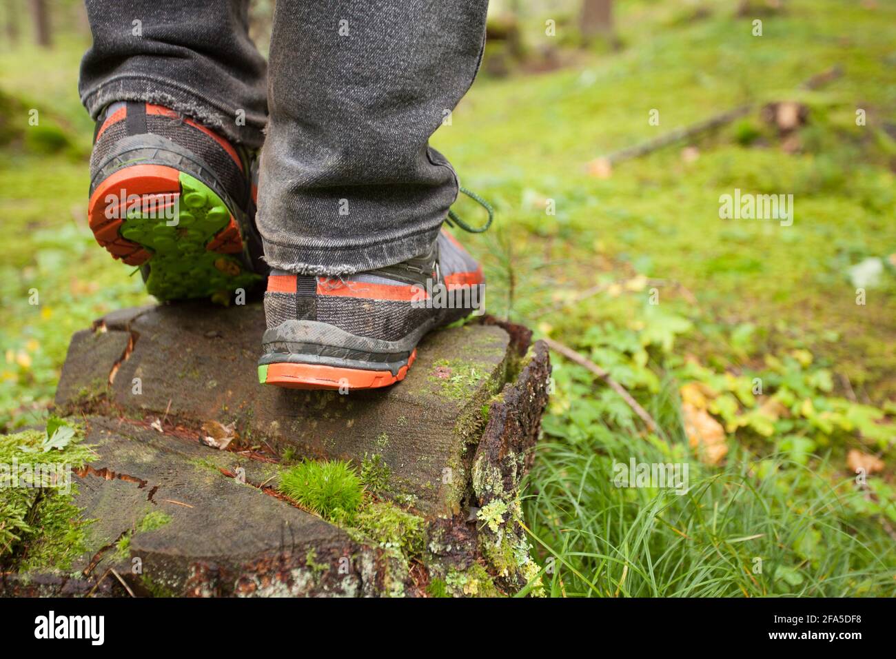 walking in the woods out of path Stock Photo - Alamy
