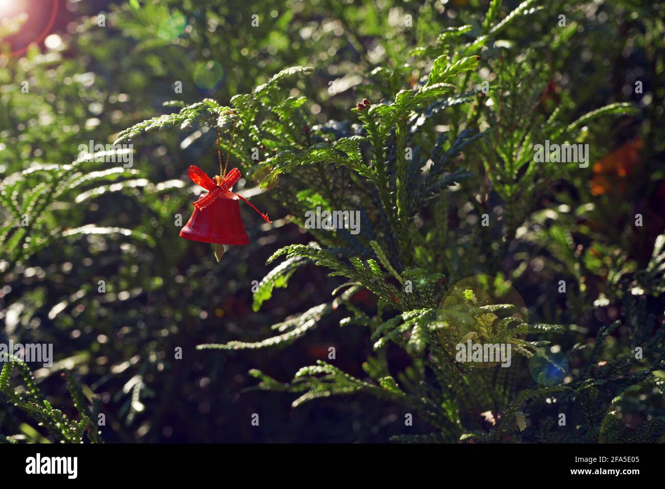 Bell christmas tree hi-res stock photography and images - Alamy