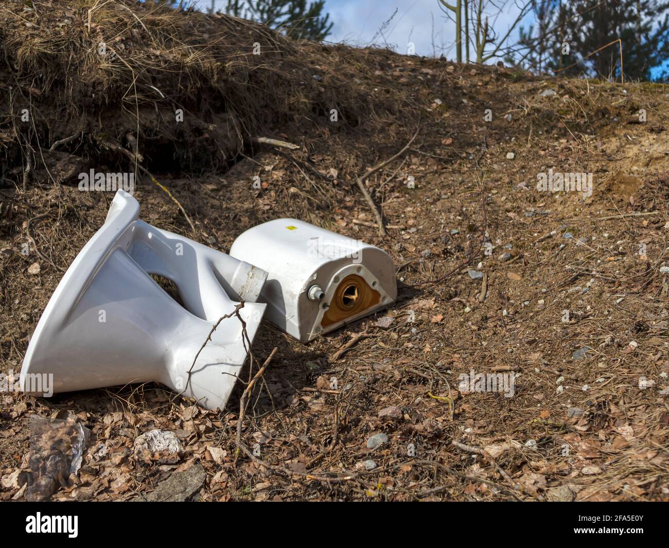 Toilet Litter. Pollution of the forest by household rubbish on nature ...