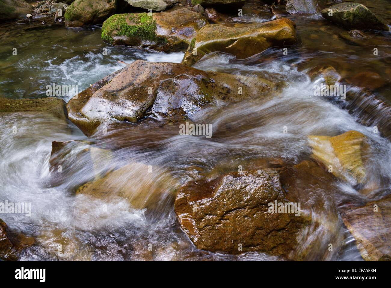 Landscape with small mountain river in Western Ukraine, Europe Stock ...