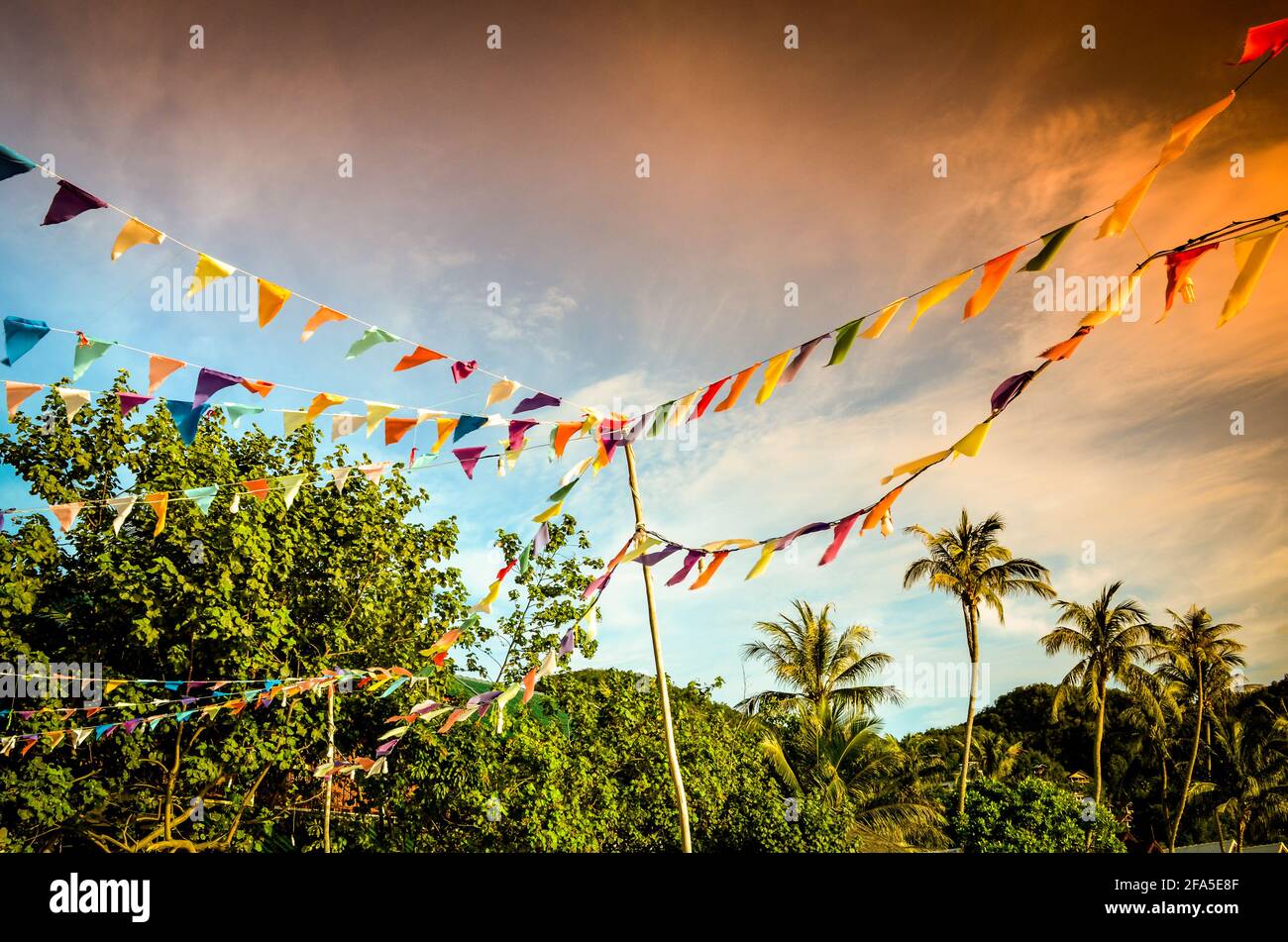 triangular colorful flag decoration with tropical background Stock ...