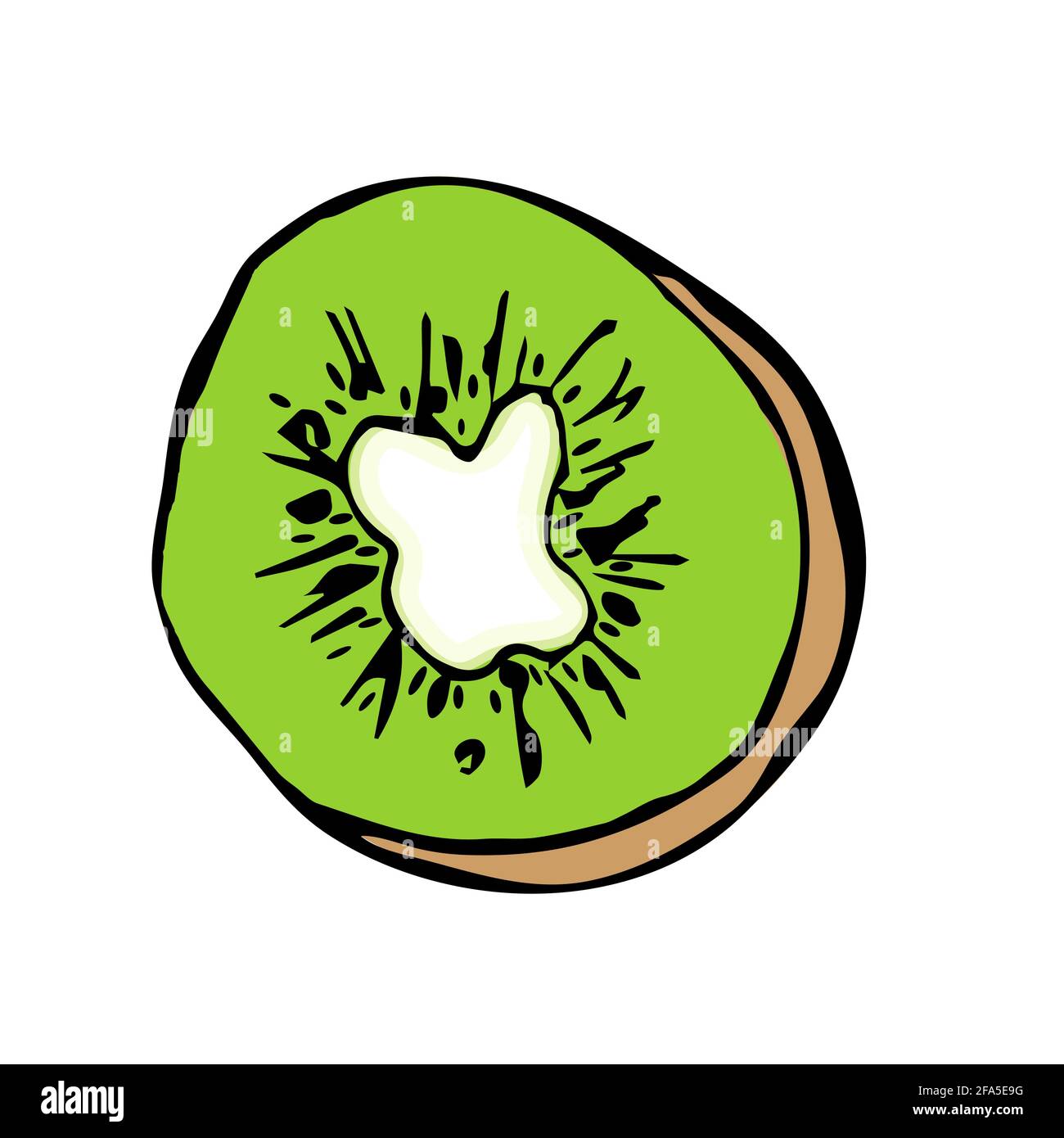 Hand drawn kiwi illustration isolated on white background Stock Vector ...