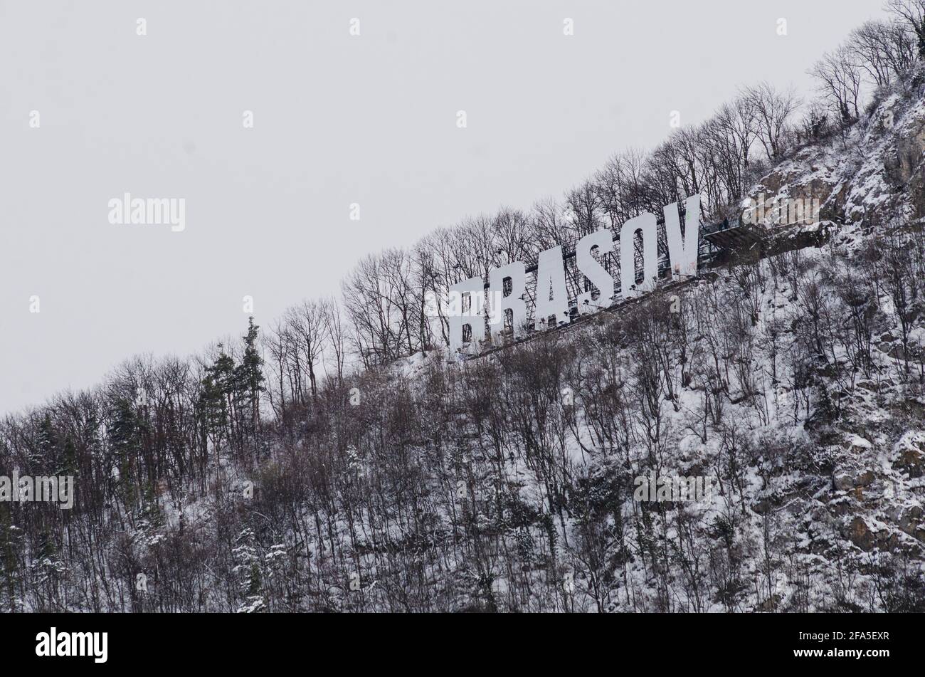 Winter scene showing trees laden with snow and the famous Brasov sign ...