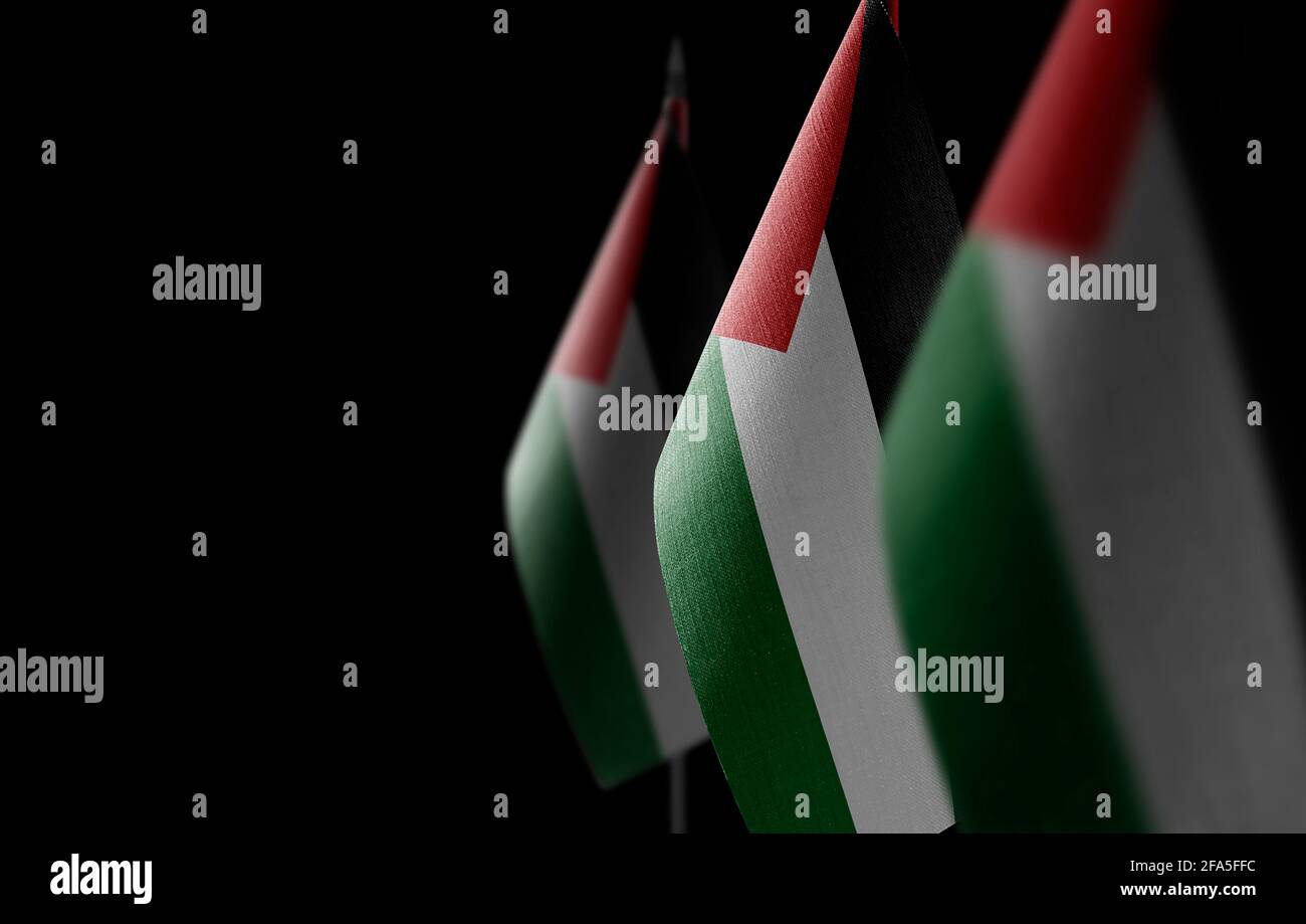 Small national flags of the Palestine on a black background Stock Photo ...