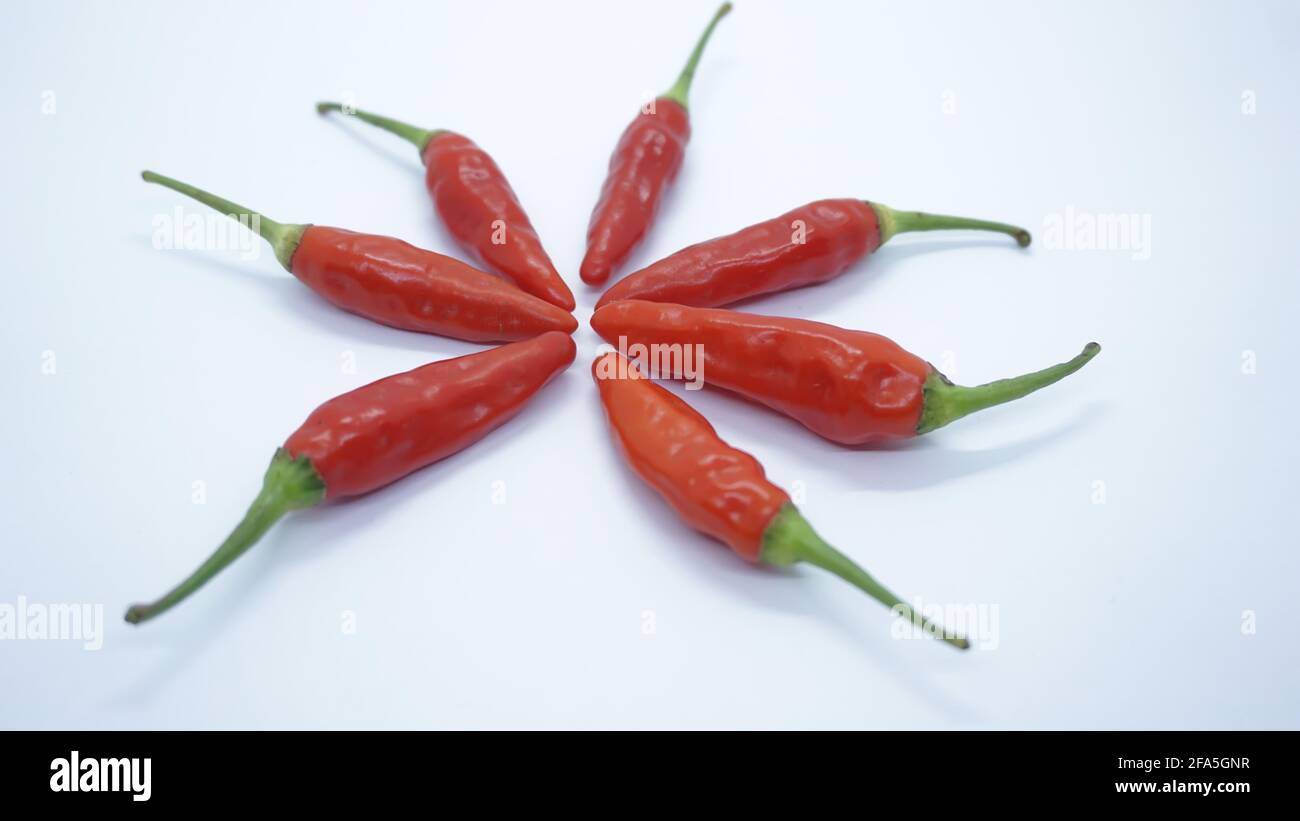 Cayenne pepper (Capsicum frutescens) is a fruit and plant member of the ...