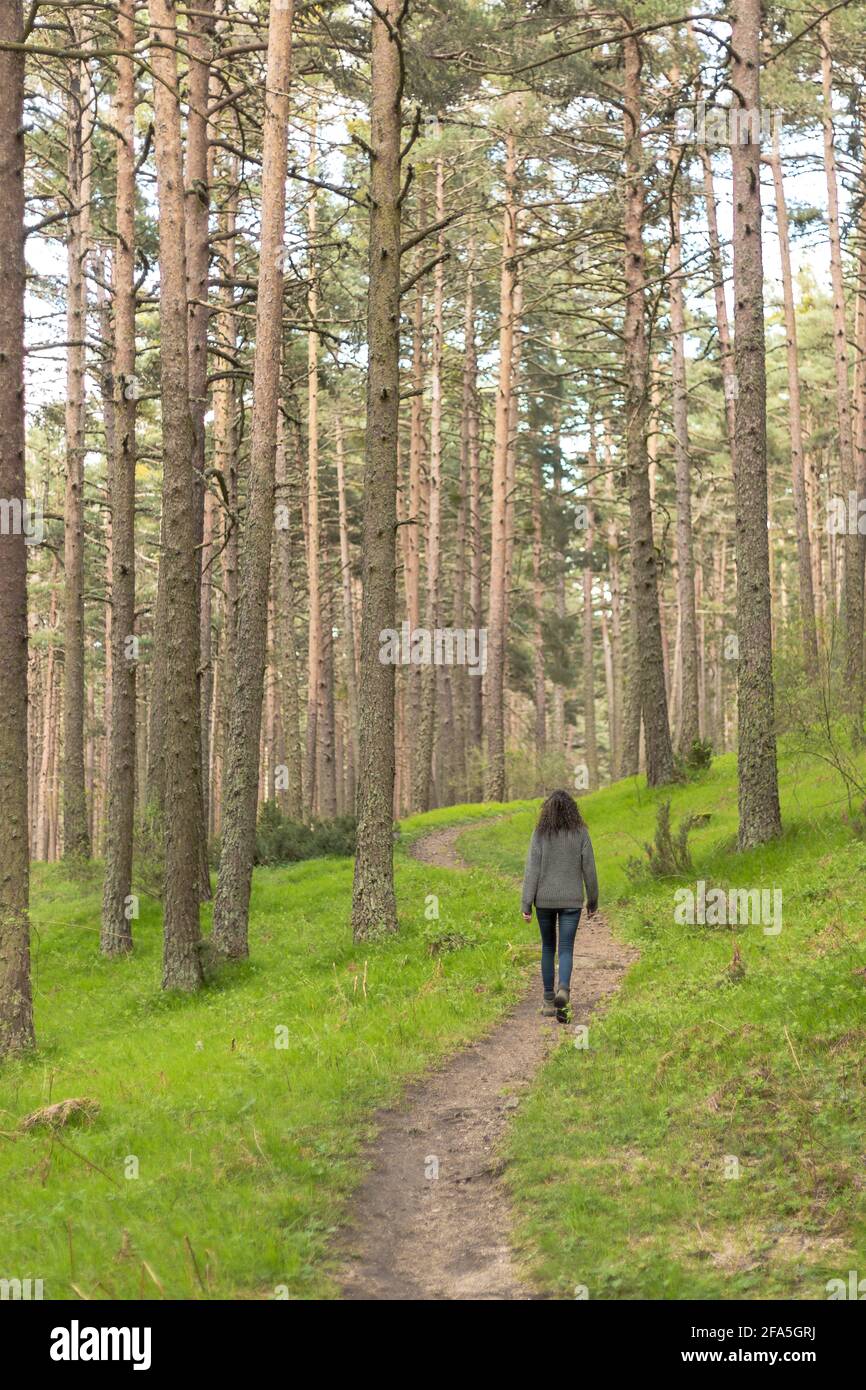 calm woman walking alone in the forest in search of adventure. Relax in ...