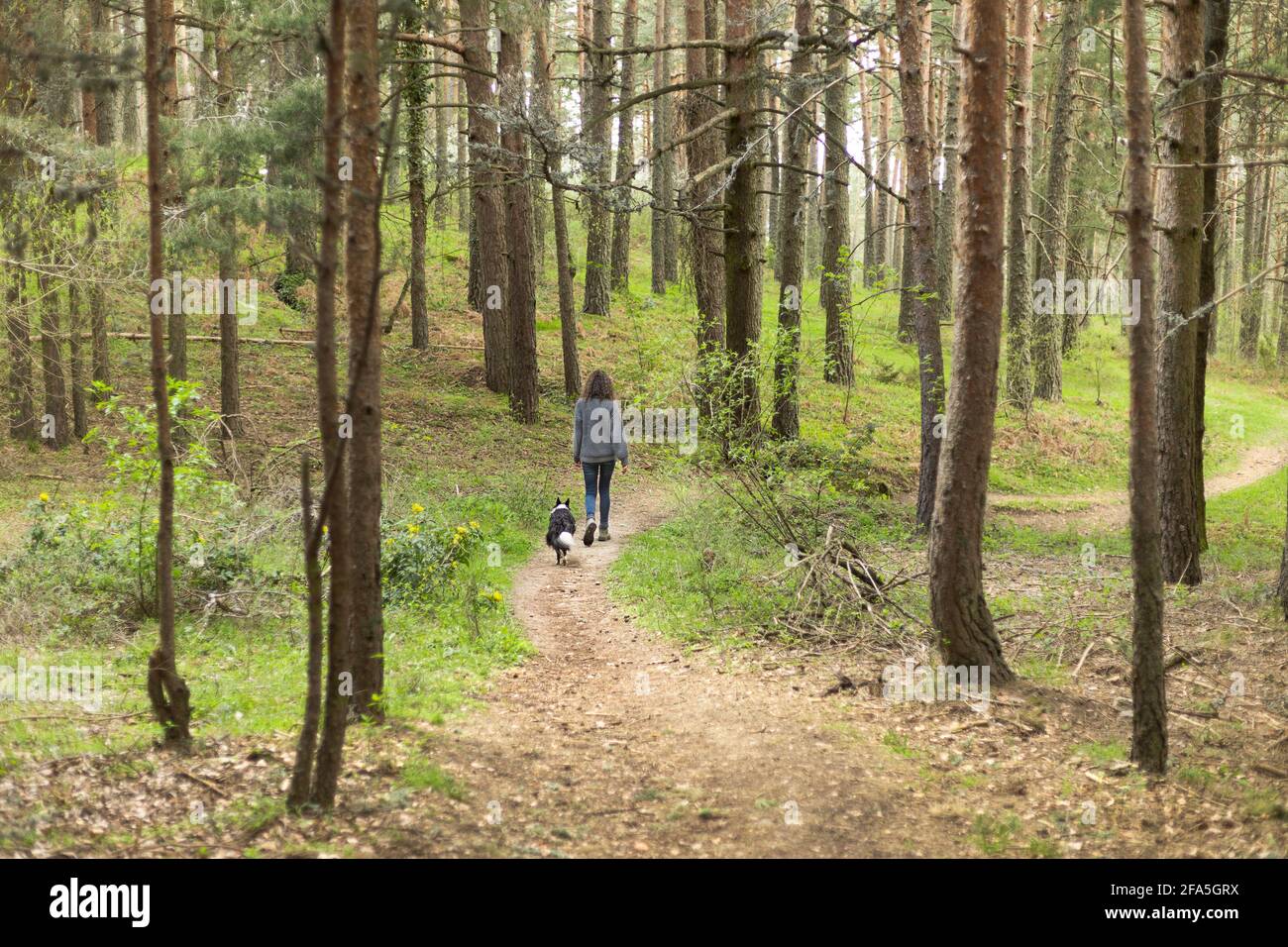 calm woman walking alone in the forest in search of adventure. Relax in ...