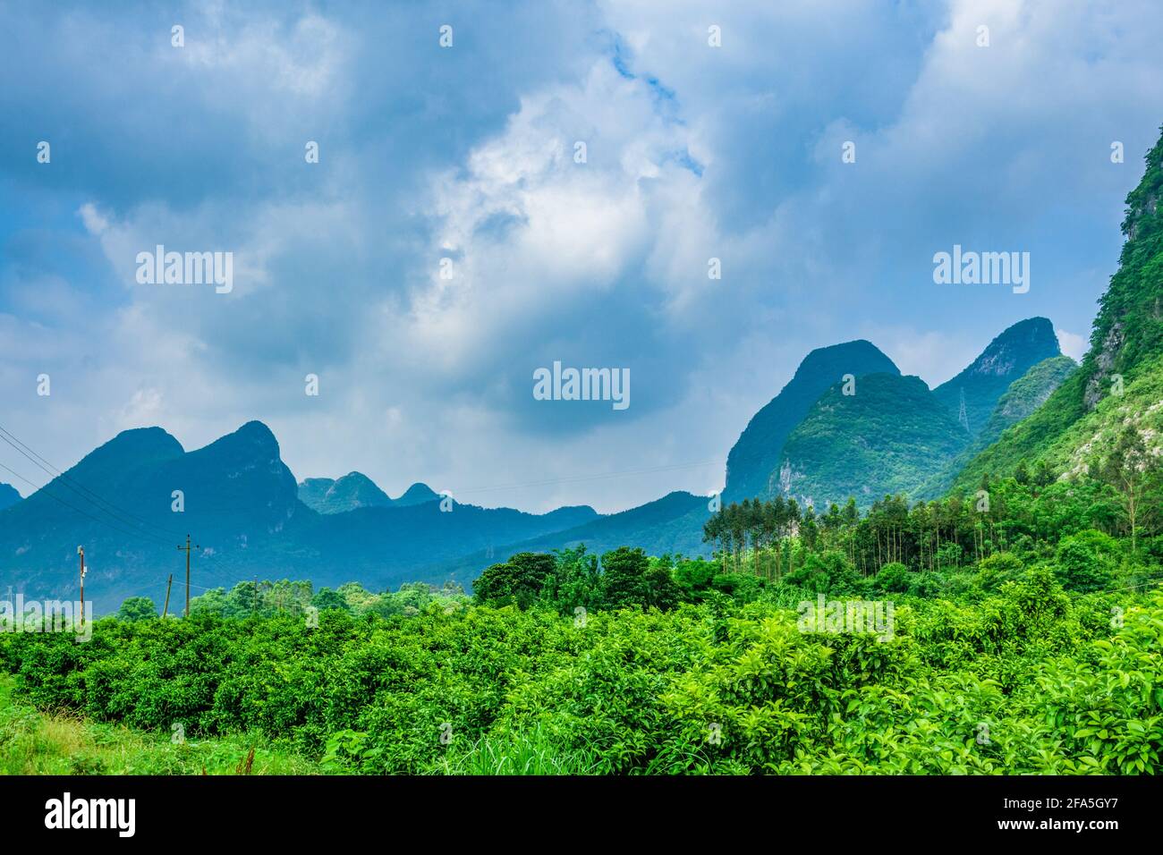 Landscape in summer season Stock Photo - Alamy