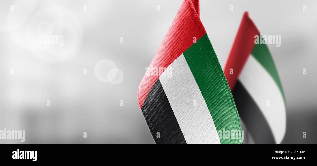 Small national flags of the United Arab Emirates on a light blurry ...