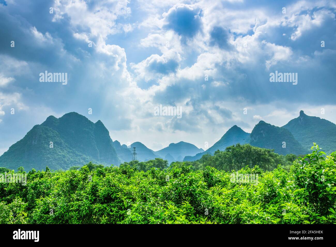 Landscape in summer season Stock Photo - Alamy