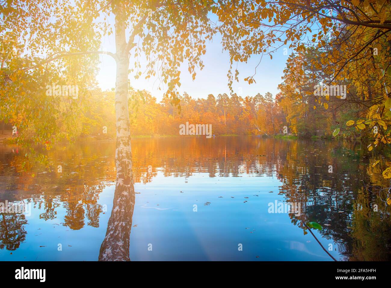 Autumn beautiful lake Stock Photo - Alamy