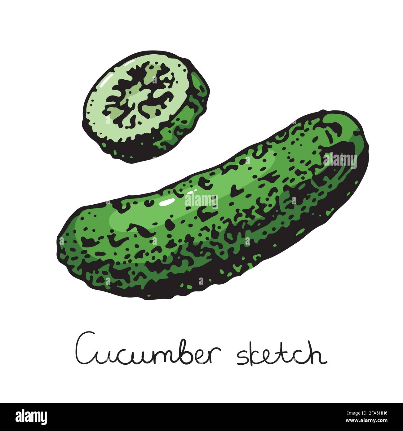 Fresh cucumber half and sliced vector illustration Stock Vector Image ...