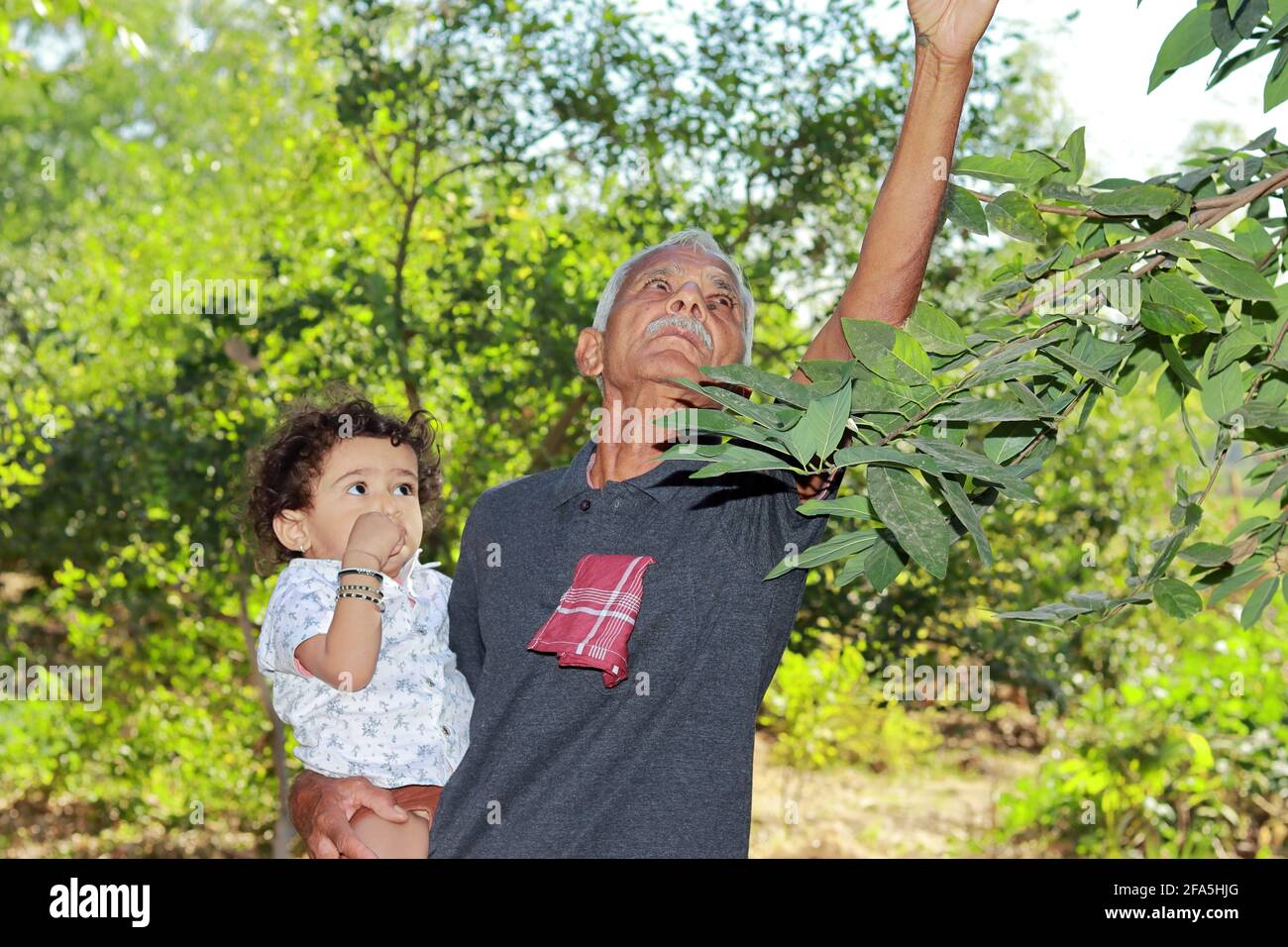 Indian resident grandfather raising his grandson At the waist and ...