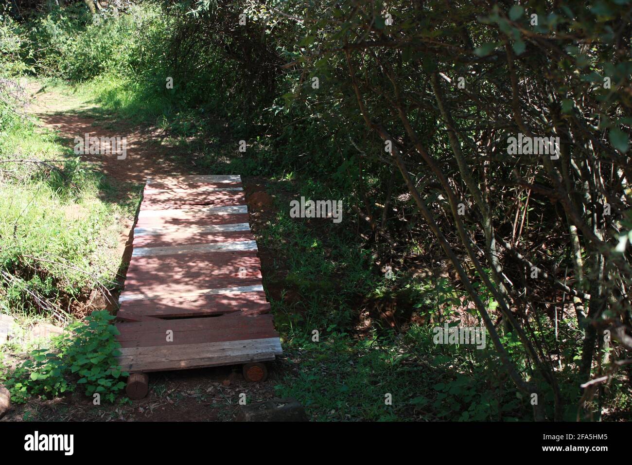 Pathway under bridge hi-res stock photography and images - Alamy