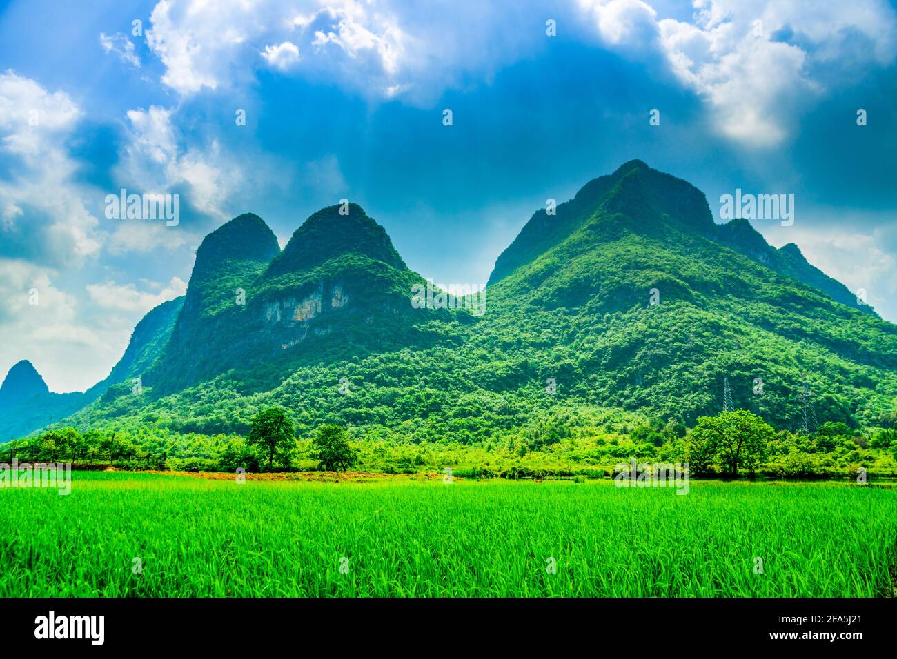 Landscape in summer season Stock Photo - Alamy