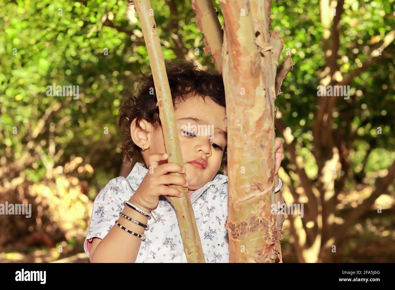 Close-up Portrait behind the trunk of a small child native to India ...