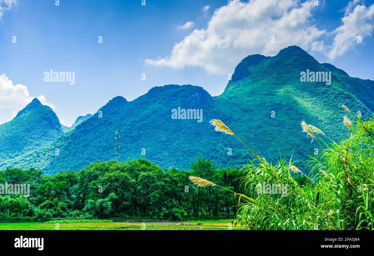Landscape in summer season Stock Photo - Alamy