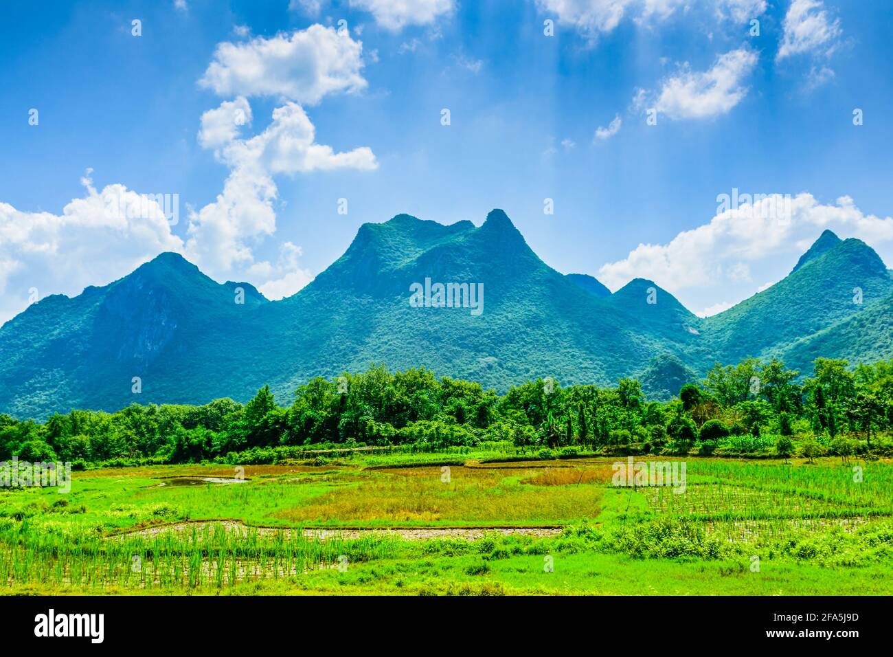 Landscape in summer season Stock Photo - Alamy