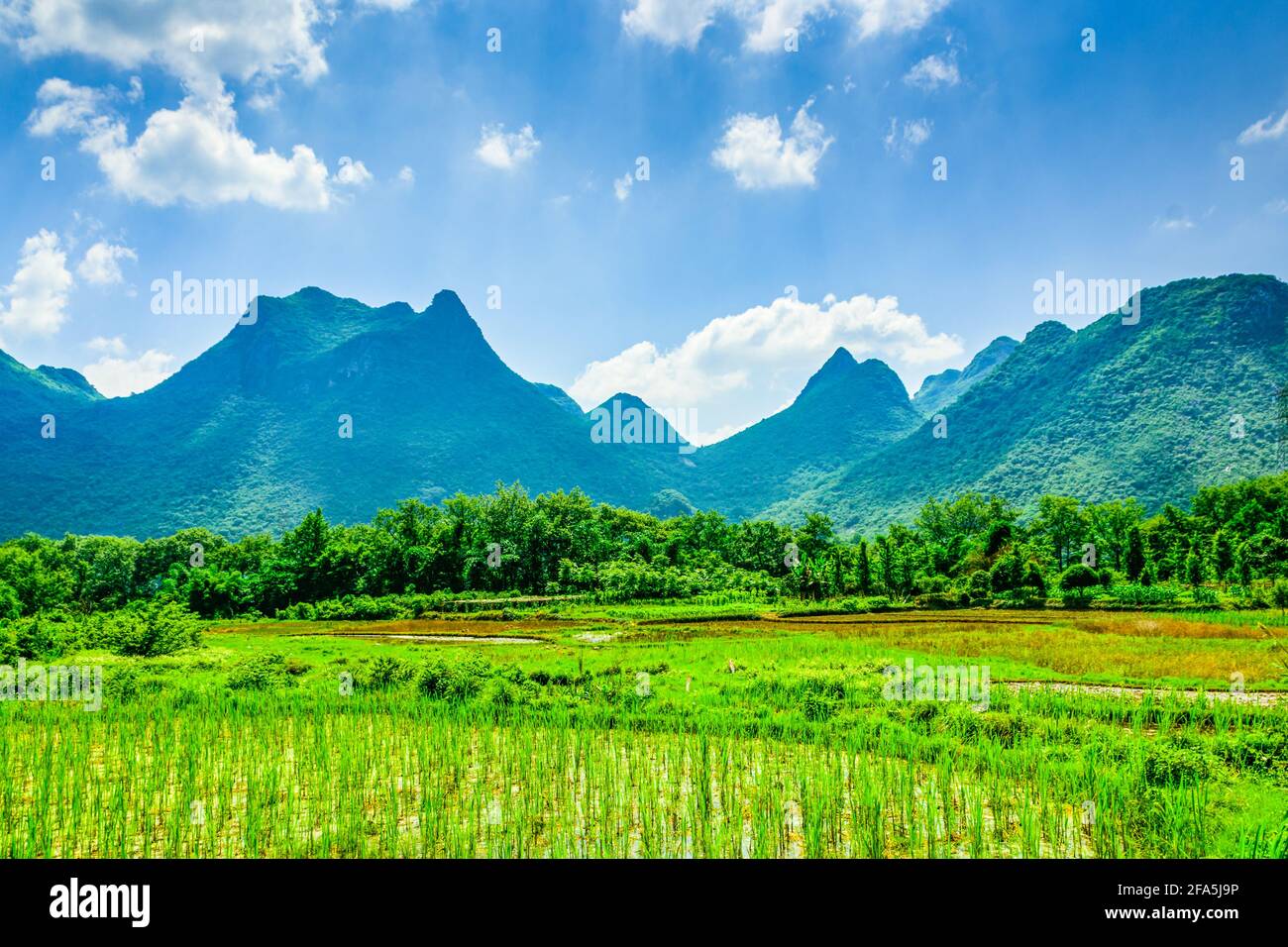 Landscape in summer season Stock Photo - Alamy