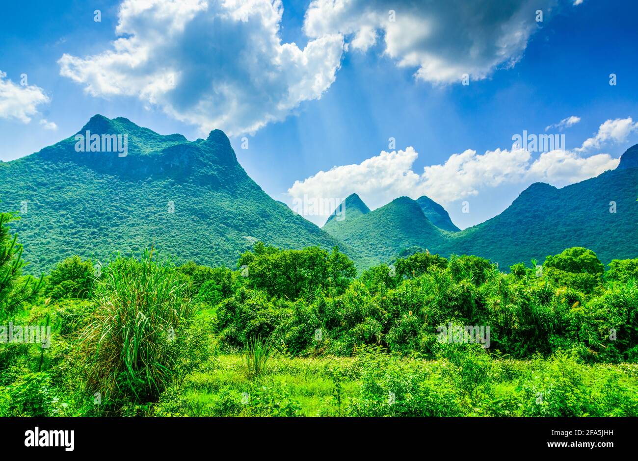 Landscape in summer season Stock Photo - Alamy
