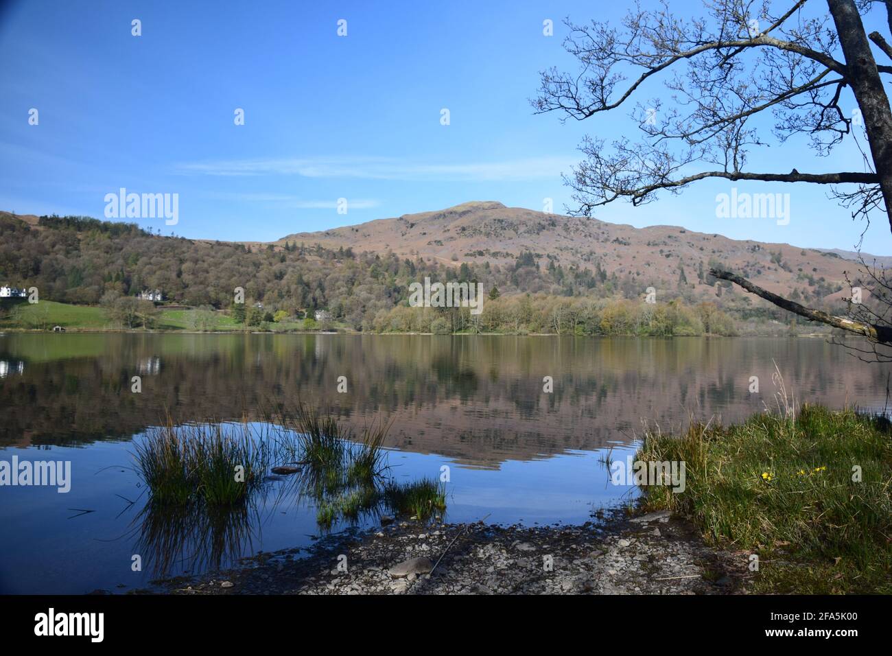 Beautiful spring morning scene looking across Grasmere lake taking in ...