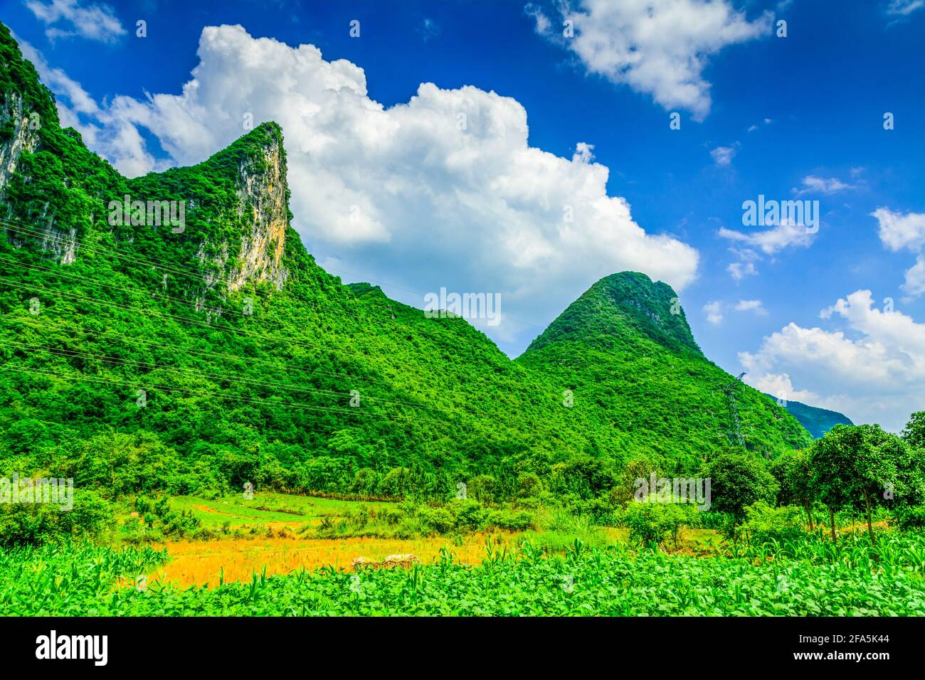 Landscape in summer season Stock Photo - Alamy
