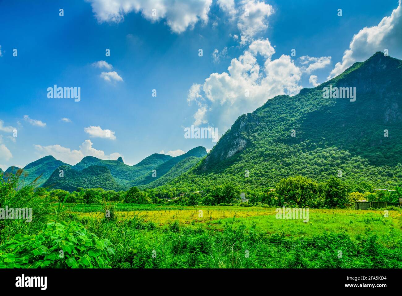 Landscape in summer season hi-res stock photography and images - Alamy