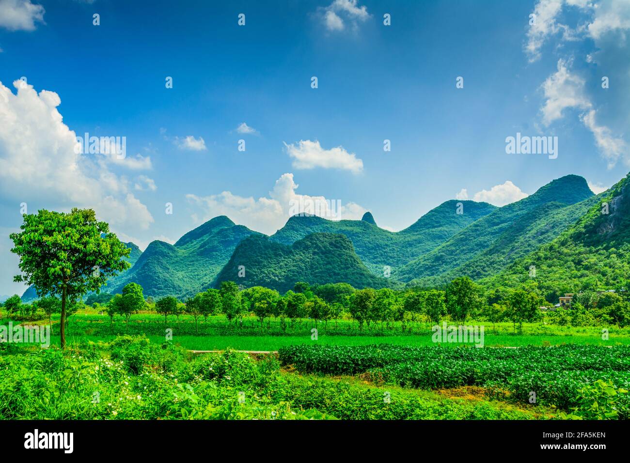 Landscape in summer season Stock Photo - Alamy