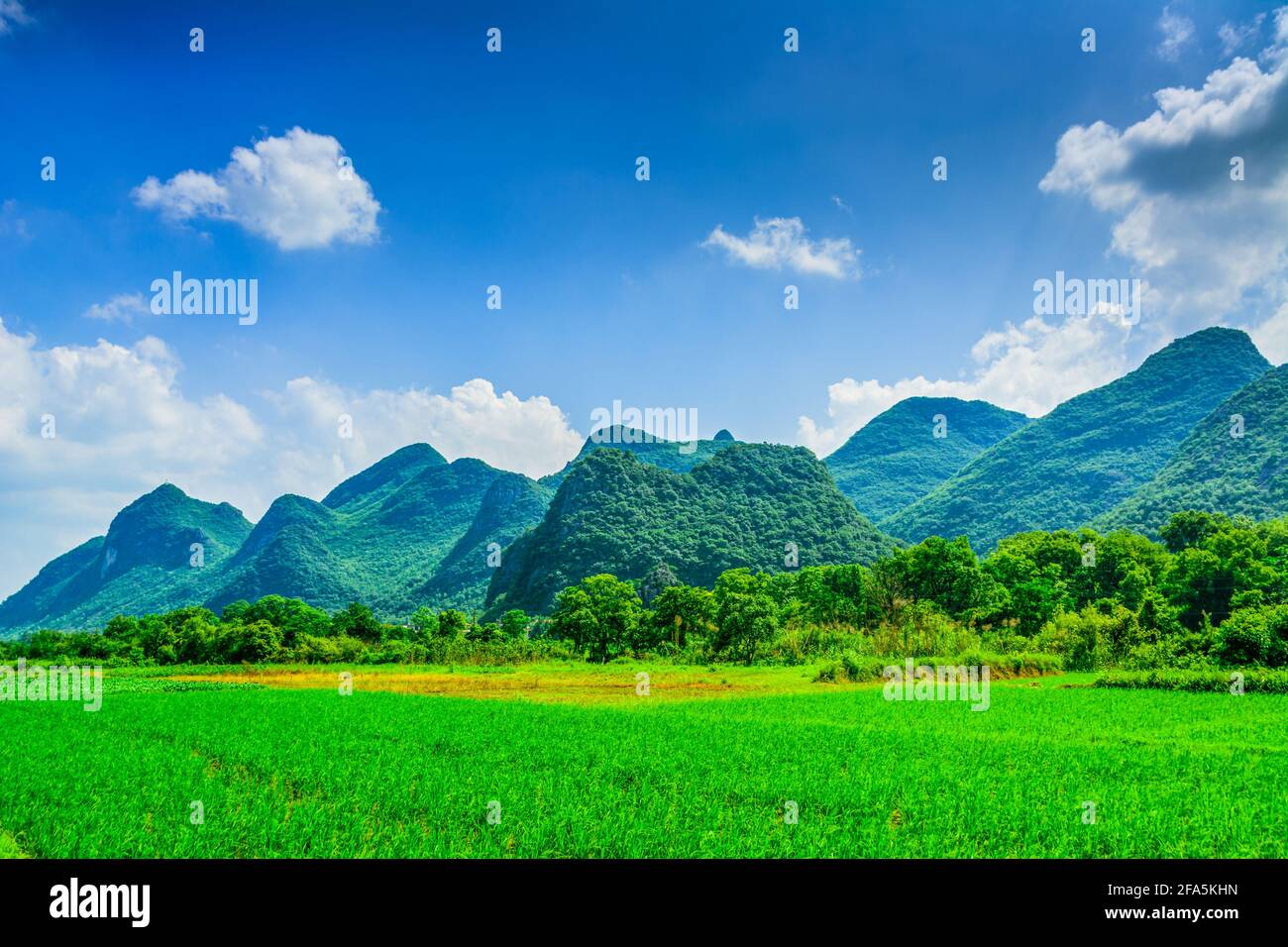 Landscape in summer season Stock Photo - Alamy