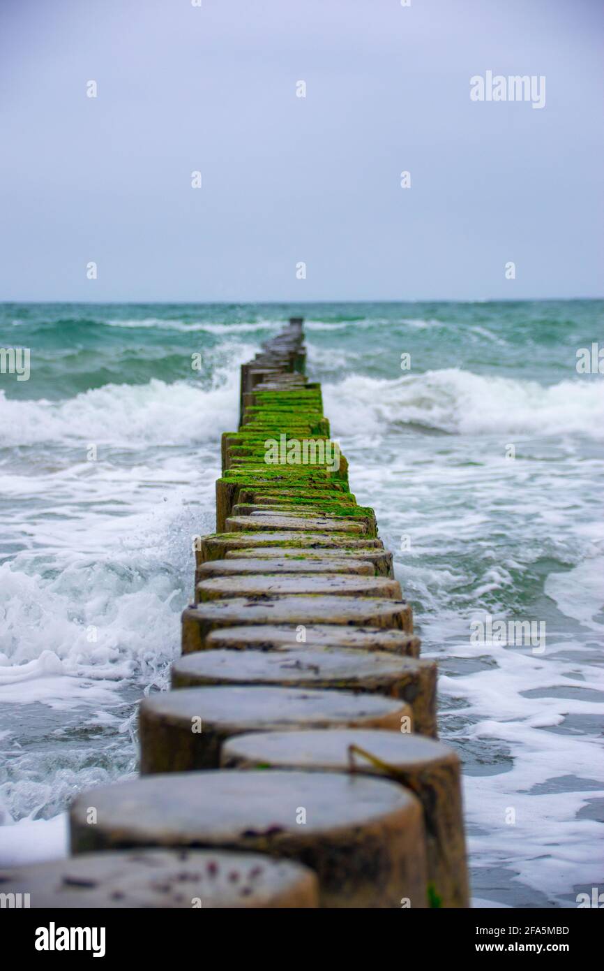 Vertical shot of a pier made with tree stumps Stock Photo - Alamy
